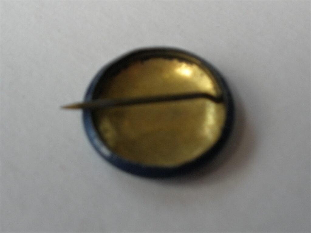 1926 CHARITY DONATION LITHOGRAPHIC PIN – The Community Fund – SUPERNOVA ...