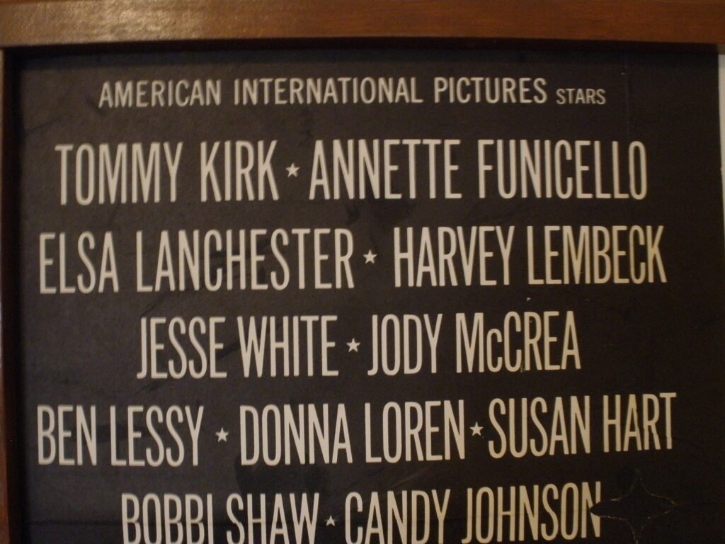 1964 Original MOVIE POSTER BOARD – ANNETTE FUNICELLO – PAJAMA PARTY ...